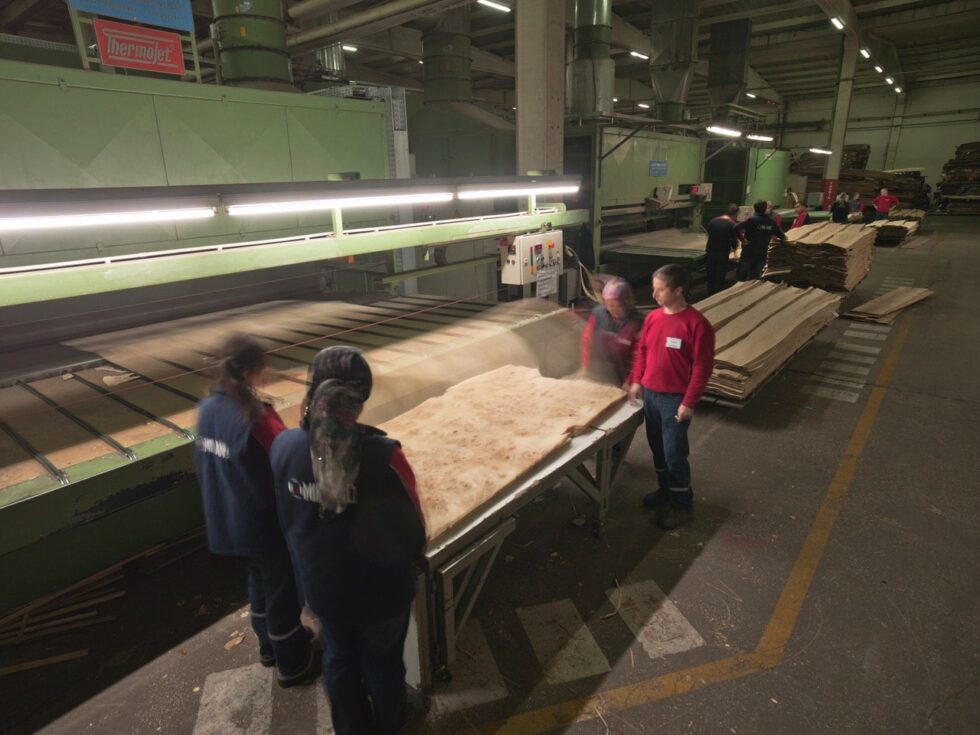 MWVS | Quality Wood Veneer